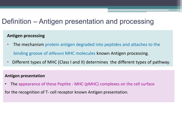 Exogenous Antigen Presentation and Processing.pptx