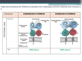 Exogenous Antigen Presentation and Processing.pptx