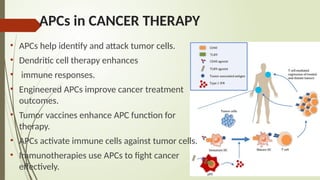 ANTIGEN PRESENTING CELLSANTIGEN PRESENTING CELLS | PPTX