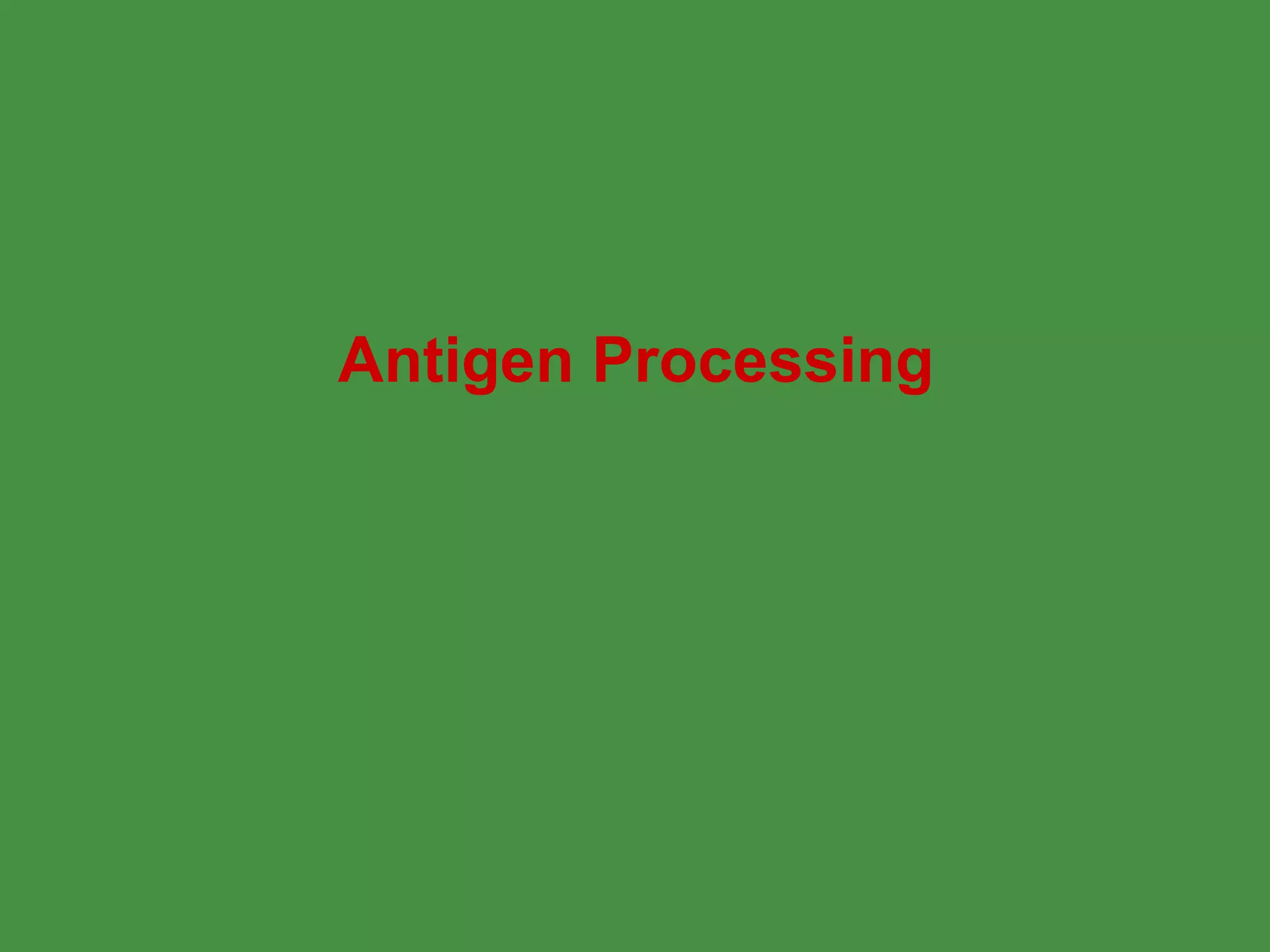 Antigen Processing | PPT