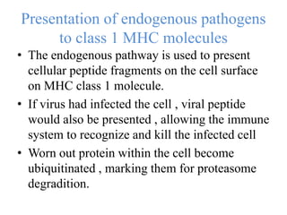 Antigen processing and presentation | PPTX