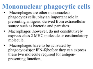 Antigen processing and presentation | PPTX