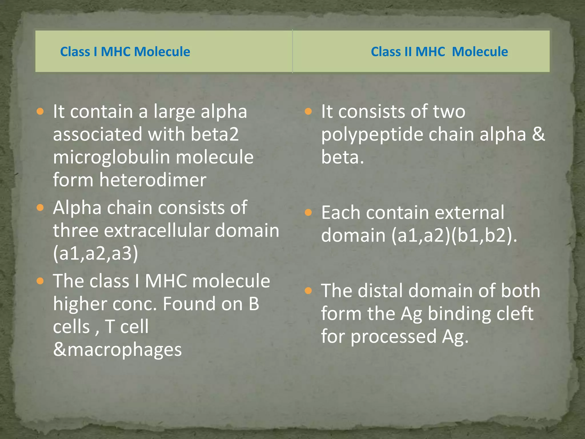 Antigen processing and presentation | PPTX