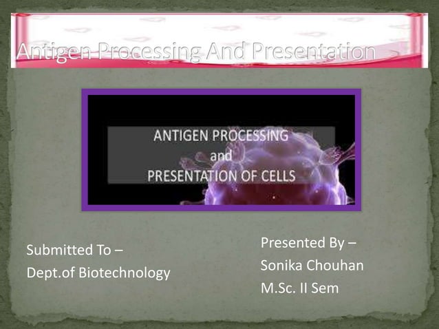 Antigen processing and presentation | PPT