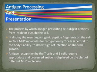 Antigen processing and presentation | PPTX