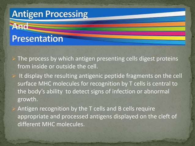 Antigen processing and presentation | PPTX | Chemistry | Science