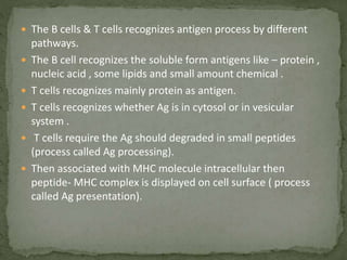 Antigen processing and presentation | PPTX