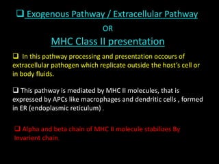 Antigen processing and presentation | PPTX