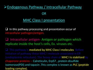 Antigen processing and presentation | PPTX