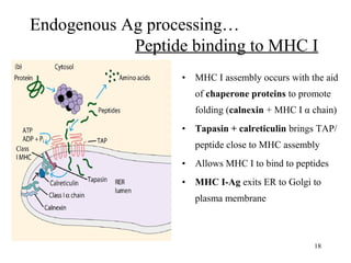 Antigen processing and presentation | PPT
