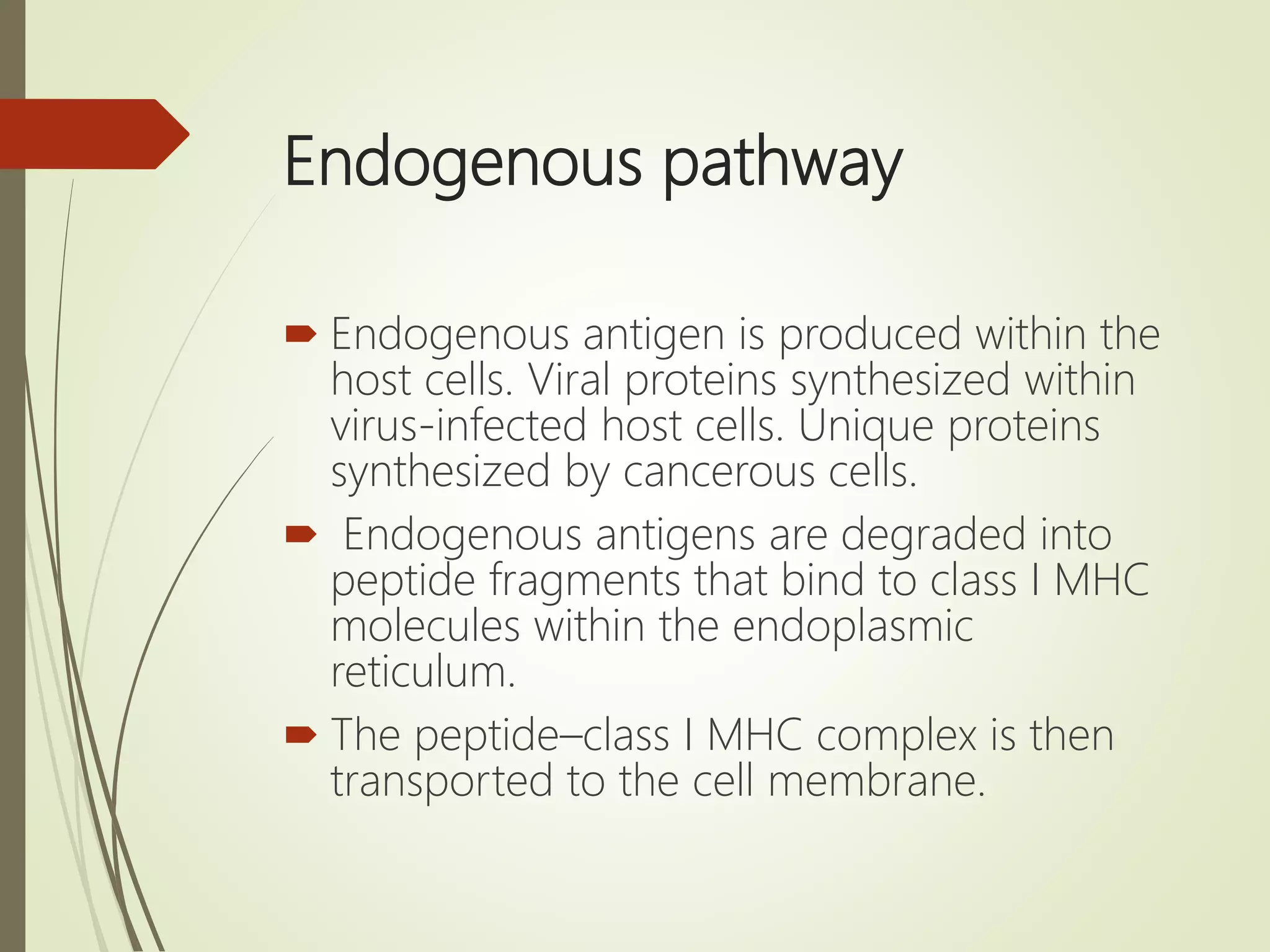 Antigen processing and presentation | PPTX
