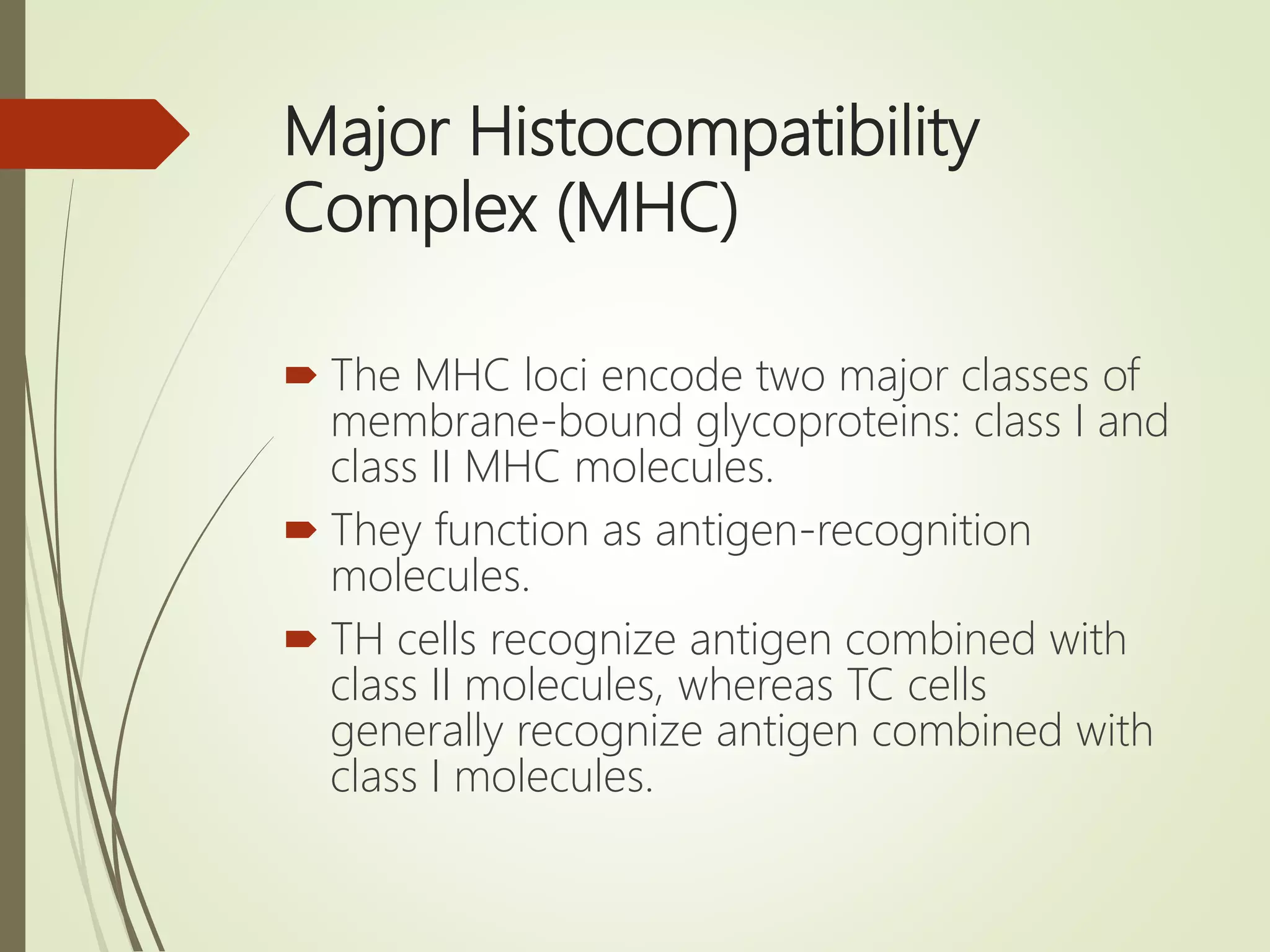 Antigen processing and presentation | PPTX
