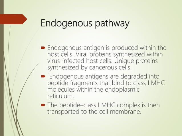 Antigen processing and presentation | PPTX | Biological Sciences | Science