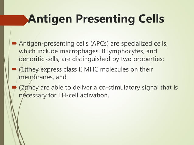 Antigen processing and presentation | PPTX | Biological Sciences | Science