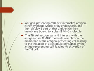 Antigen processing and presentation | PPTX
