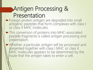 Antigen processing and presentation | PPTX
