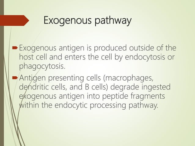 Antigen processing and presentation | PPTX | Biological Sciences | Science