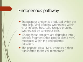 Antigen Processing And Presentation Pathways
