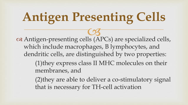Antigen Processing & Presentation | PPTX