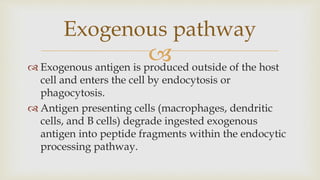 Antigen Processing & Presentation | PPTX