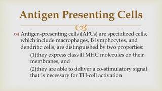 Antigen Processing & Presentation | PPT