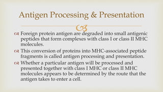 Antigen Processing & Presentation | PPT