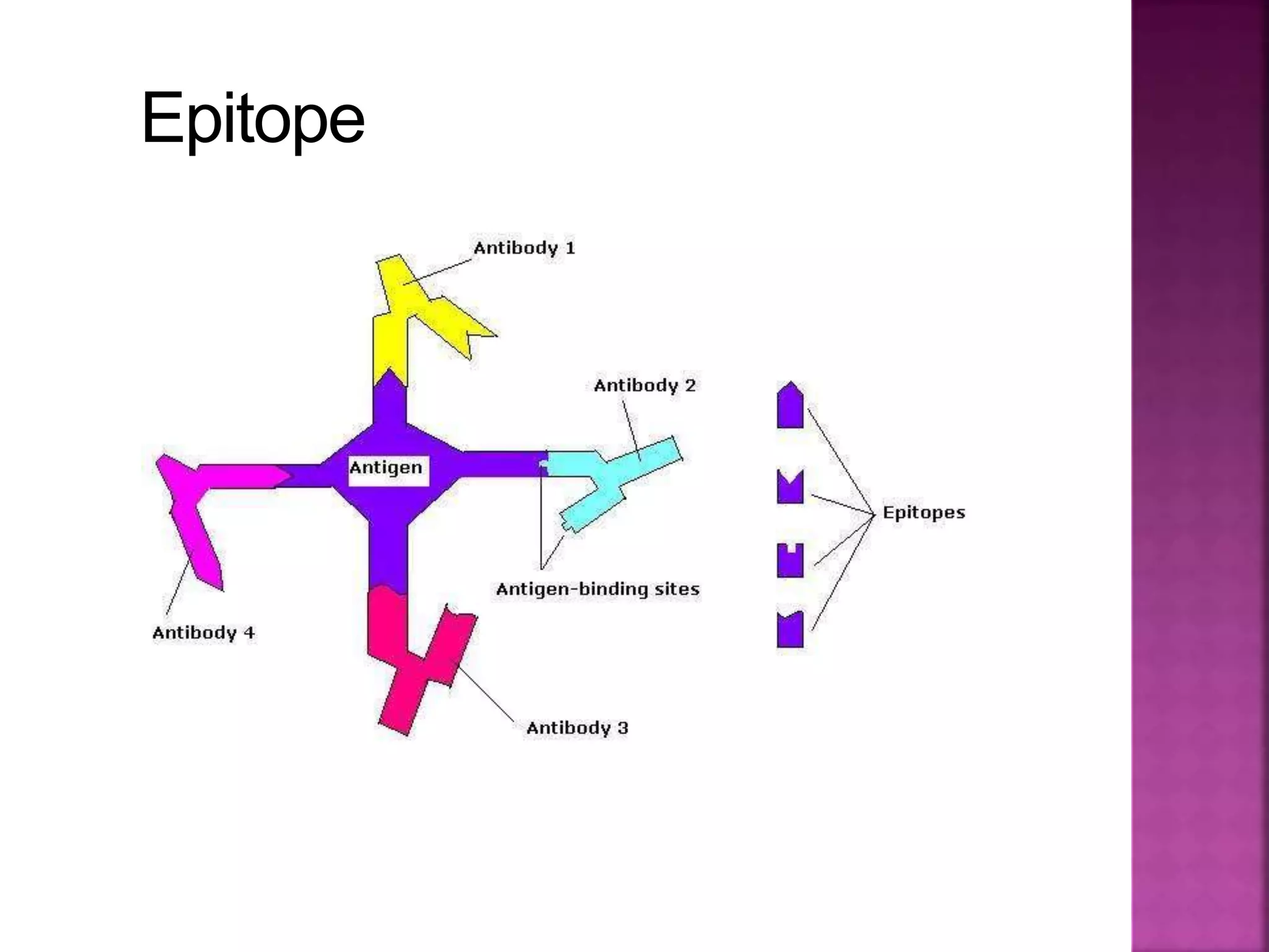 Antigen Retrieval.pptx