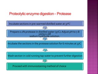 Antigen Retrieval.pptx