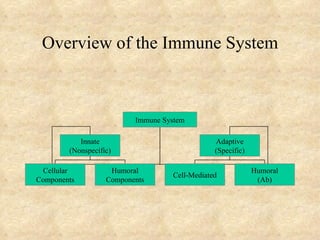 Antigens | PPT | Vaccines | Medical Health