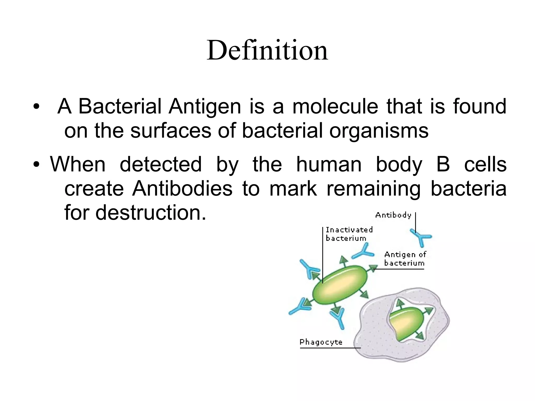 Bacterial Antigens | ODP