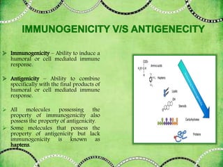 Antigens | PPTX