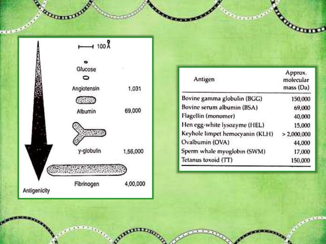 Antigens | PPTX