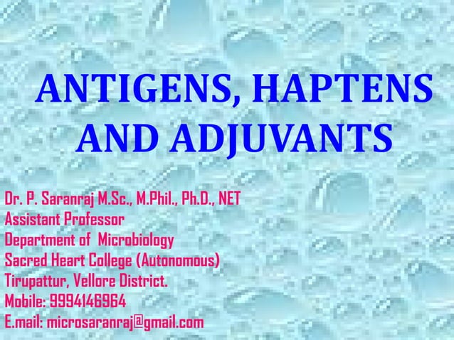 Antigens, Haptens and Adjuvants | PPT