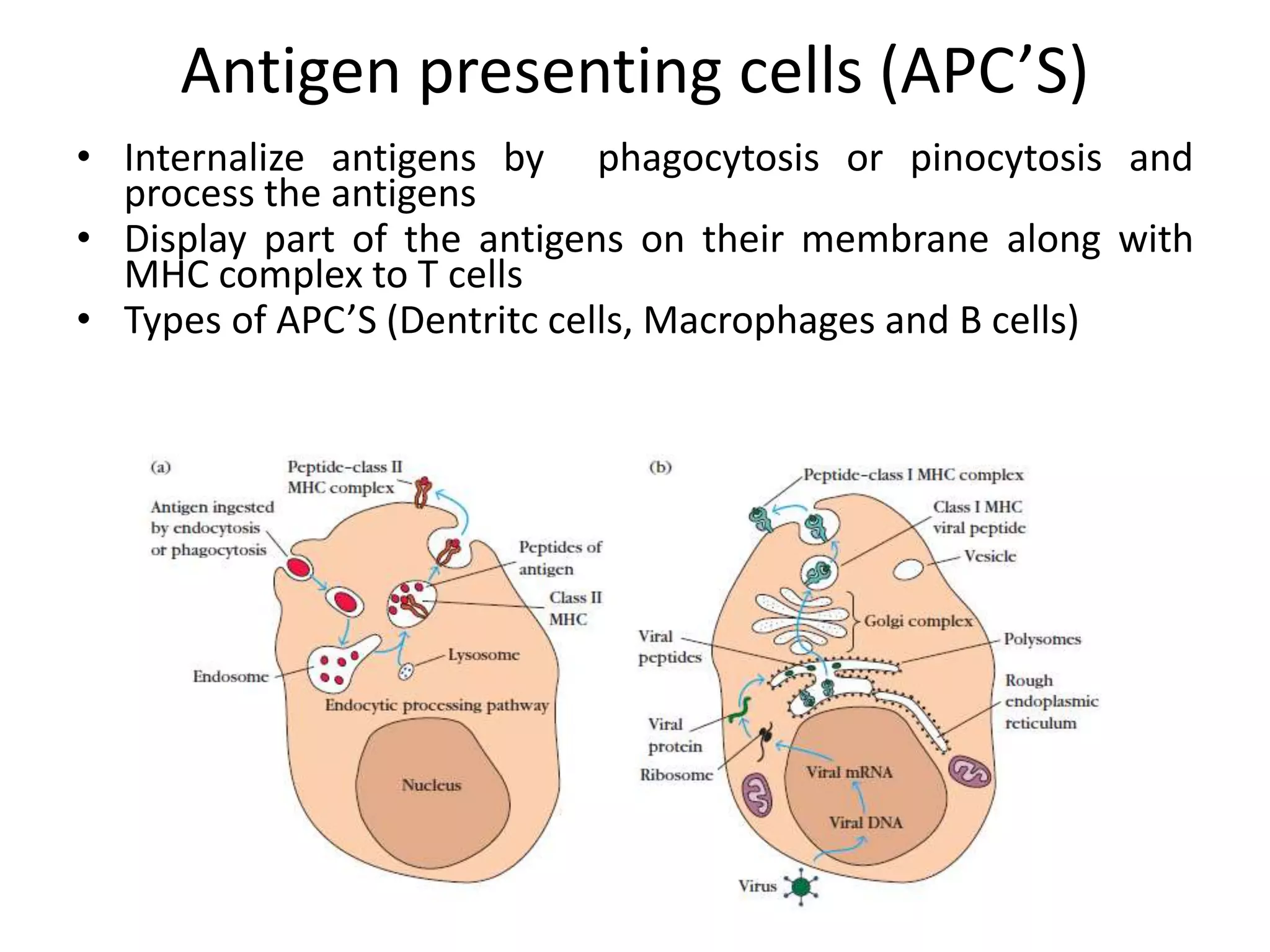 Antigens and immunogens immunogenecity | PPTX