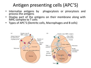 Antigens and immunogens immunogenecity | PPTX