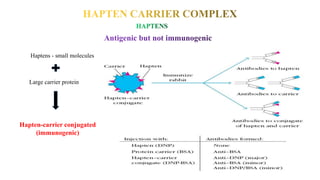 Antigens.pptx