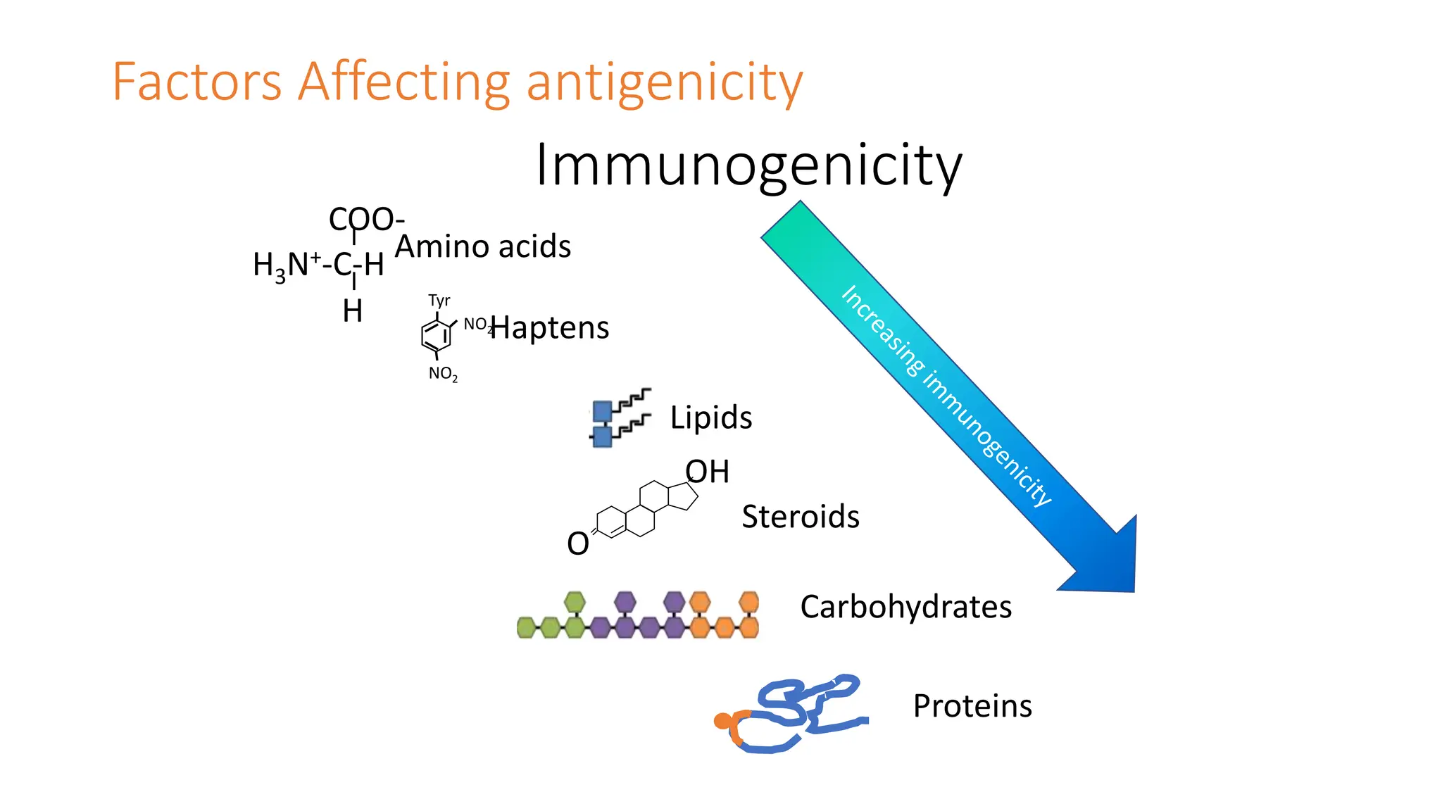 Antigens.lecture note immunology theoretical pptx | PPT
