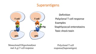 Antigens.lecture note immunology theoretical pptx | PPT