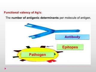 Antigens, its types and factors affecting antigenicity | PPT