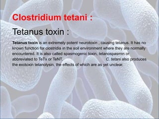 Antigens and toxins | PPT