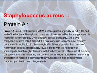 Antigens and toxins | PPTX