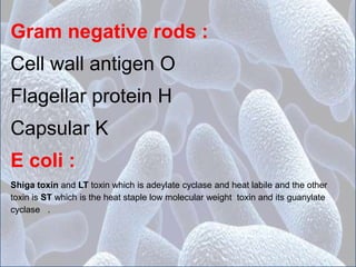 Antigens and toxins | PPTX