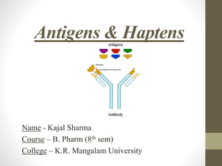 Antigens & haptens | PPTX