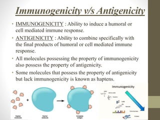 Antigens & haptens | PPTX