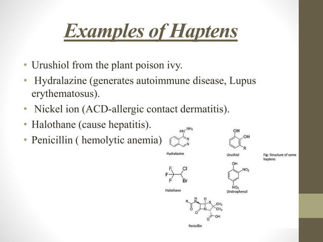 Antigens & haptens | PPTX | Blood Disorders | Diseases and Conditions