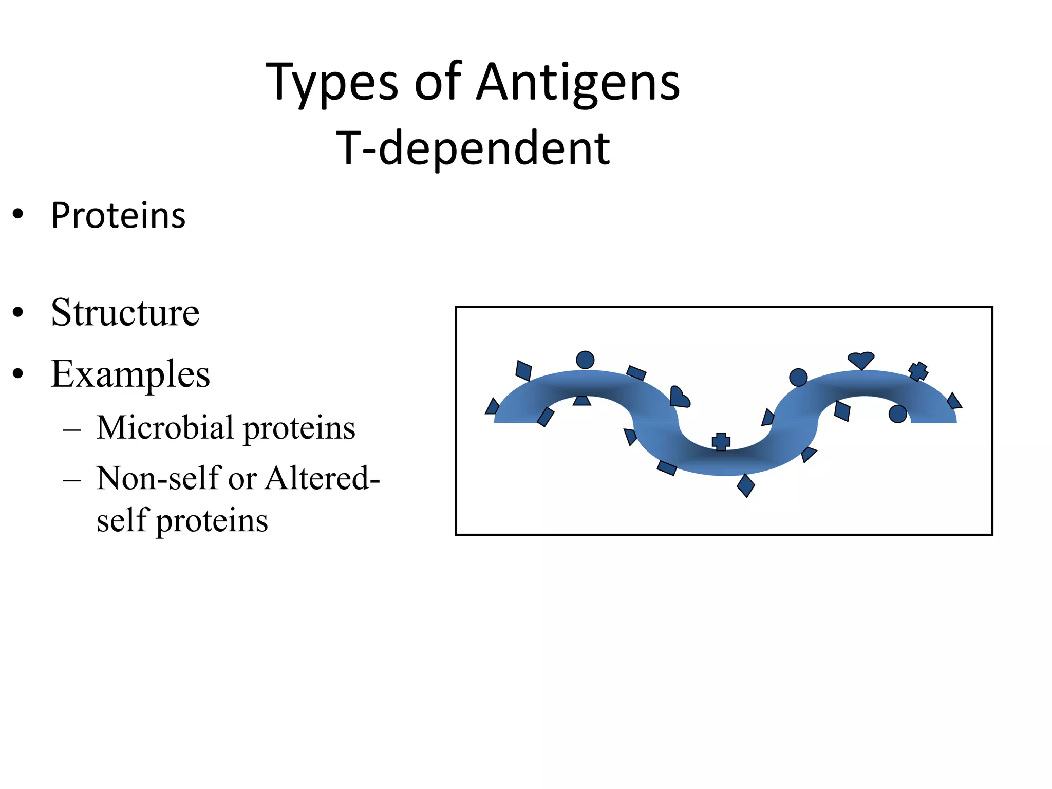 Antigens last (0).ppt