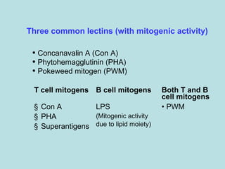 Antigens ms | PPT | Free Download