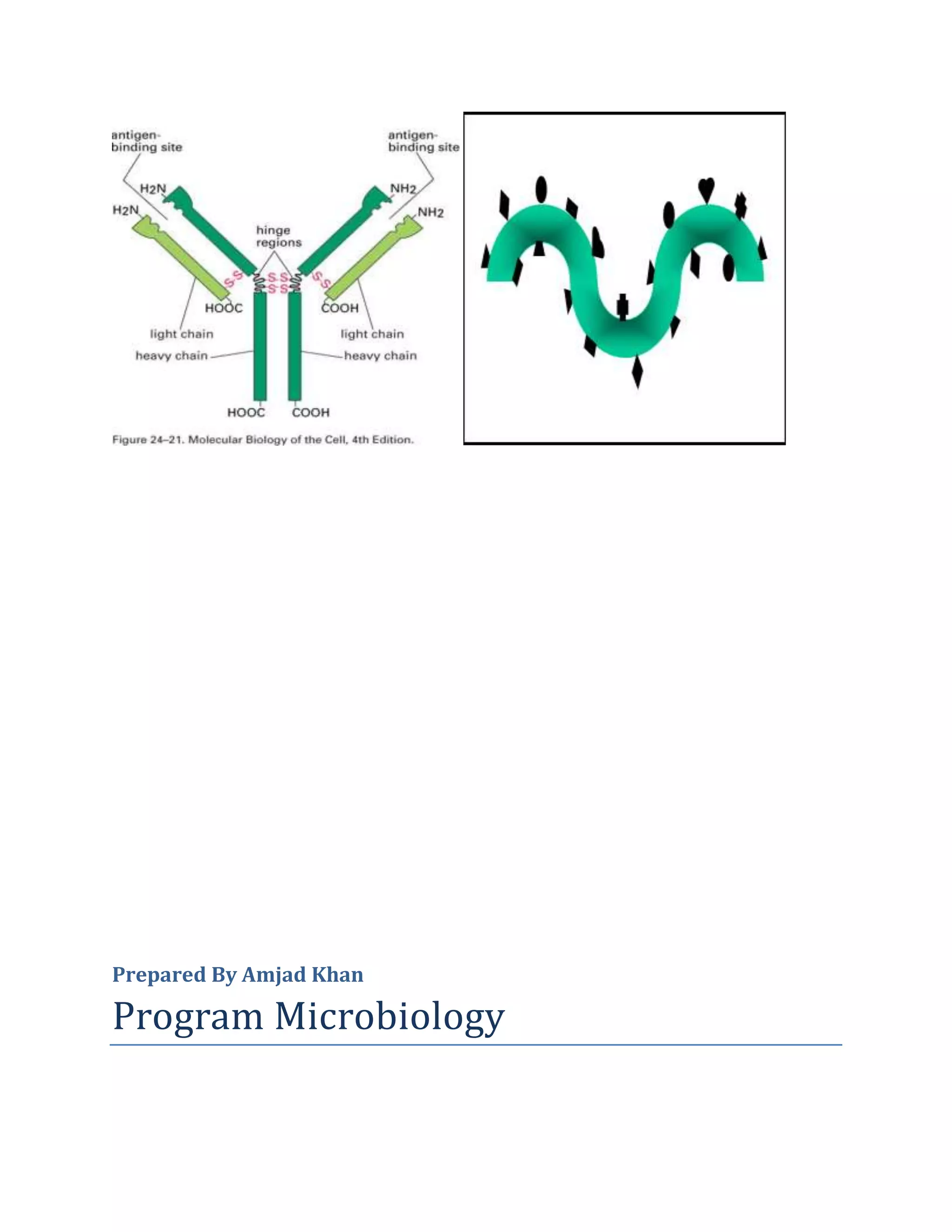 Antigen structure and immunogenicity | DOCX