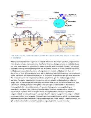 Antigen structure and immunogenicity | PDF