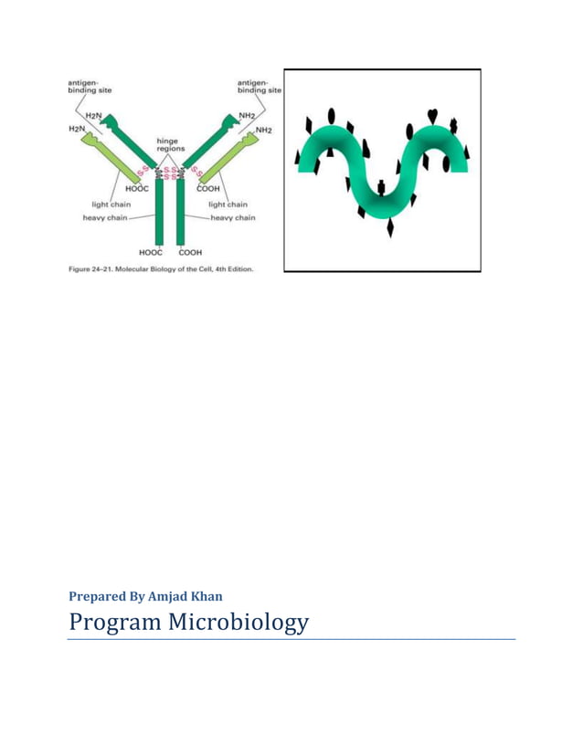 Antigen Structure And Immunogenicity Pdf